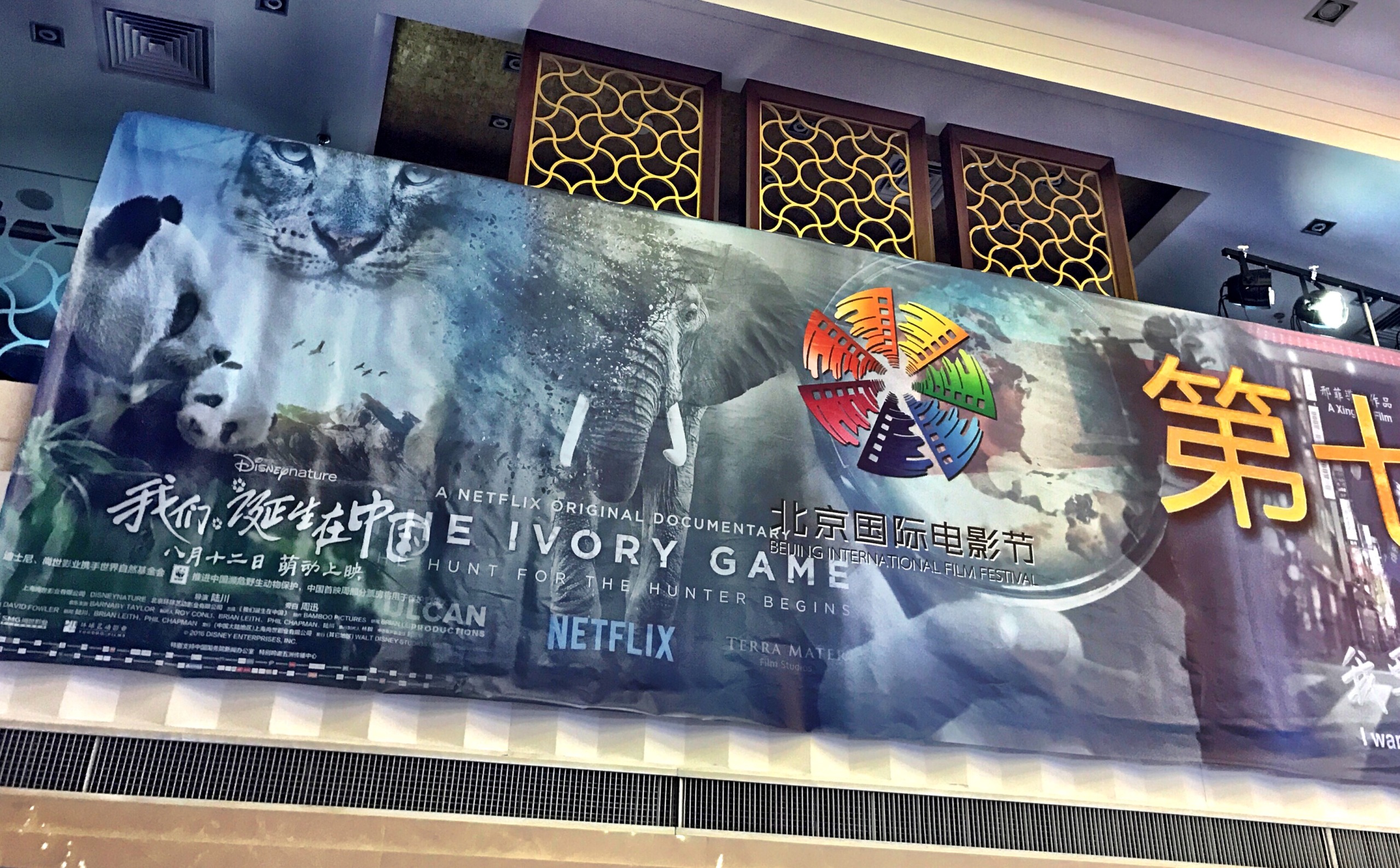 'The Ivory Game' wins Beijing International Film Festival - Terra Mater ...