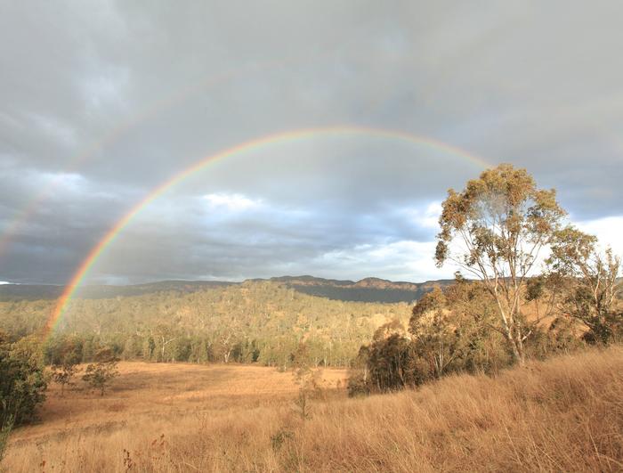 Behind the Scenes: The real Dingo - Terra Mater Studios