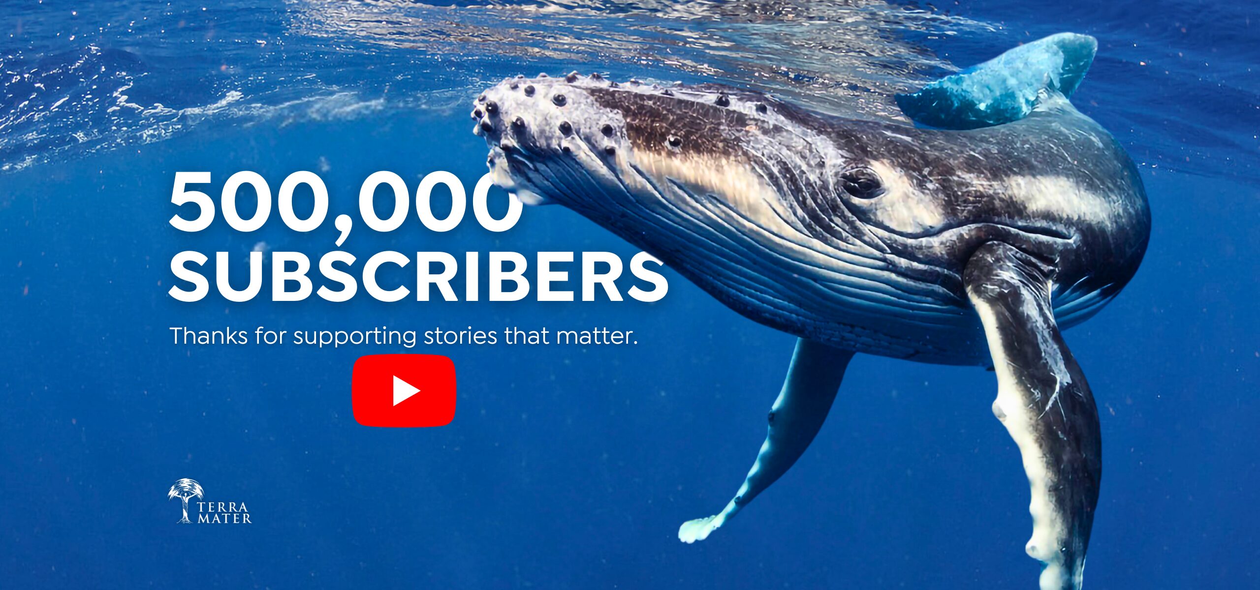Terra Mater Channel Reaches 500,000 Subscribers on YouTube - Terra ...